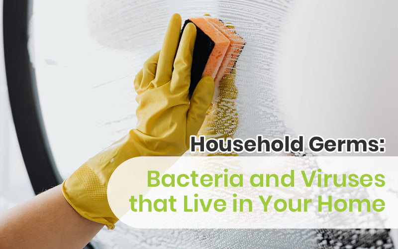 Household Germs: Bacteria and Viruses that Live in Your Home – BestLab